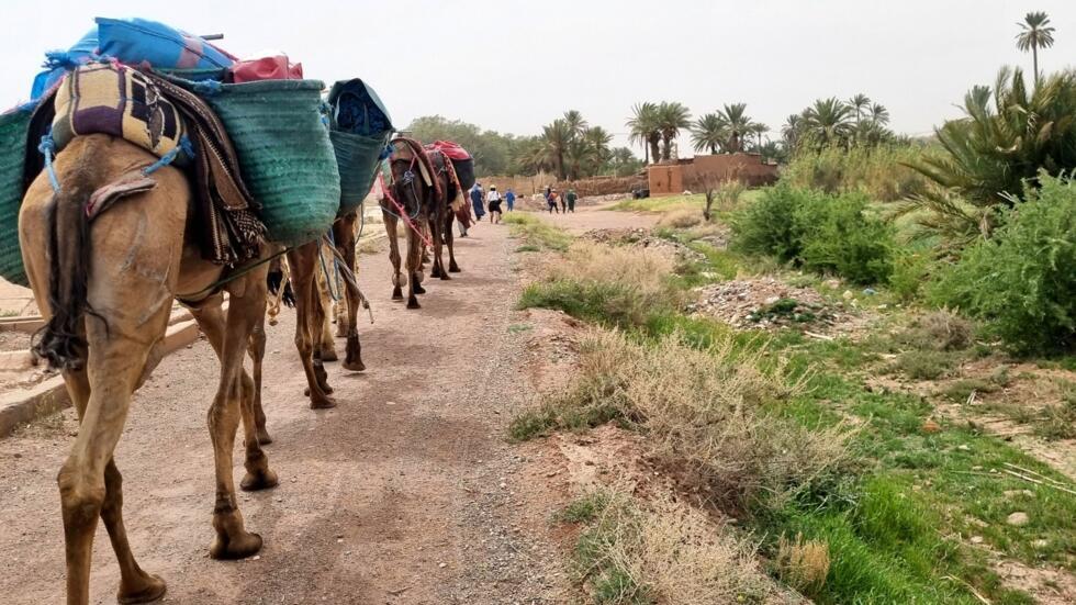 Maroc: avec la caravane Kafila, des artistes sur les pas des habitants ...
