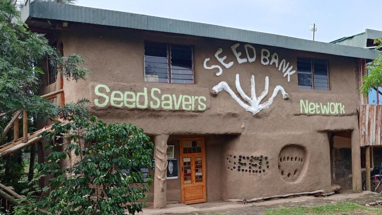Uhifadhi wa mbegu za kitamaduni na kiasili na shirka la Seed Savers Network - Mazingira Leo ...