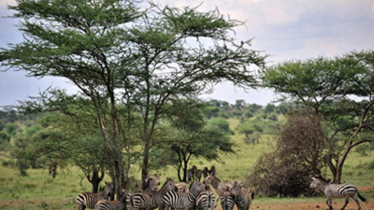 Sheria mpya ya mazingira Tanzania - Mazingira Leo, Dunia Yako Kesho