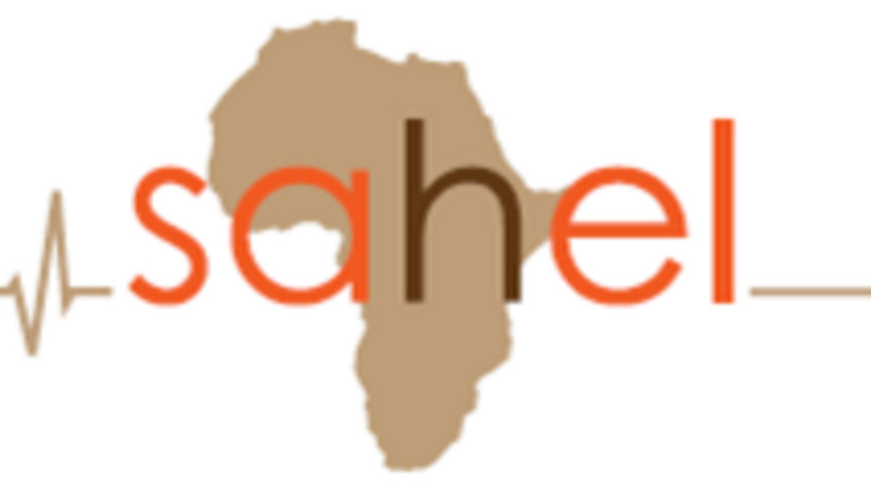 "Sahel", un réseau de télémédecine panafricain, devrait bientôt voir le ...