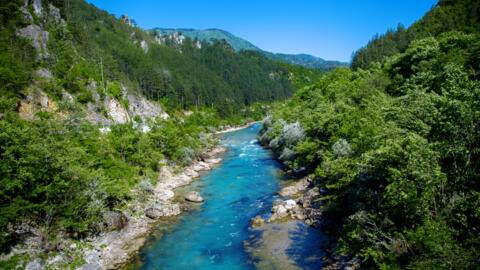 Léa-Lisa Westerhoff - RFI