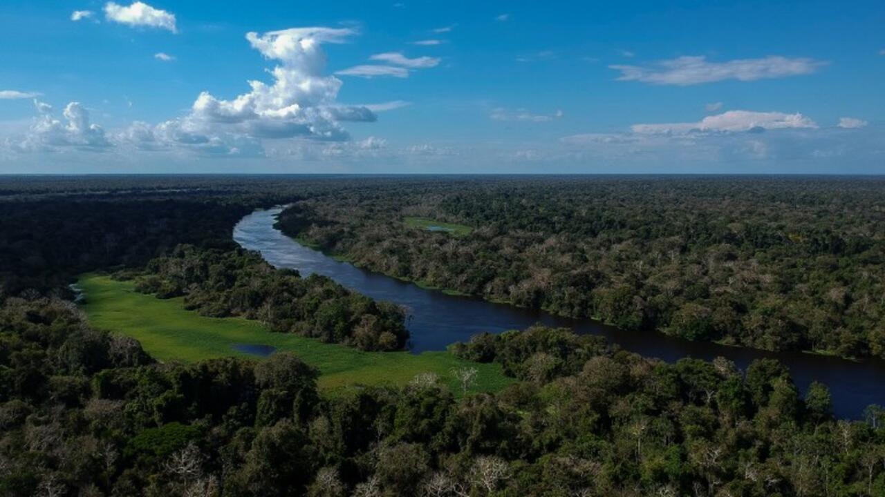 "Fundo Amazônia pode minguar se governo insistir em dar recursos ao ...