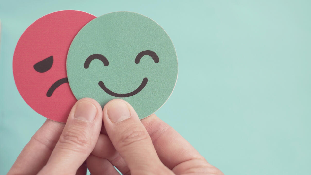 Les troubles bipolaires: comment mieux les reconnaître et les ...