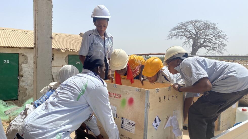 'Fandema' self help venture gives Gambian schoolgirl dropouts another ...