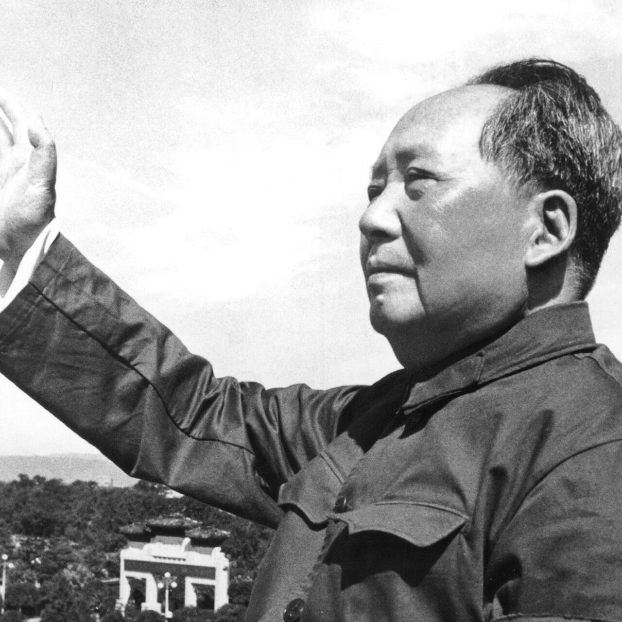 Mao Zhang's Instagram, Twitter & Facebook on IDCrawl