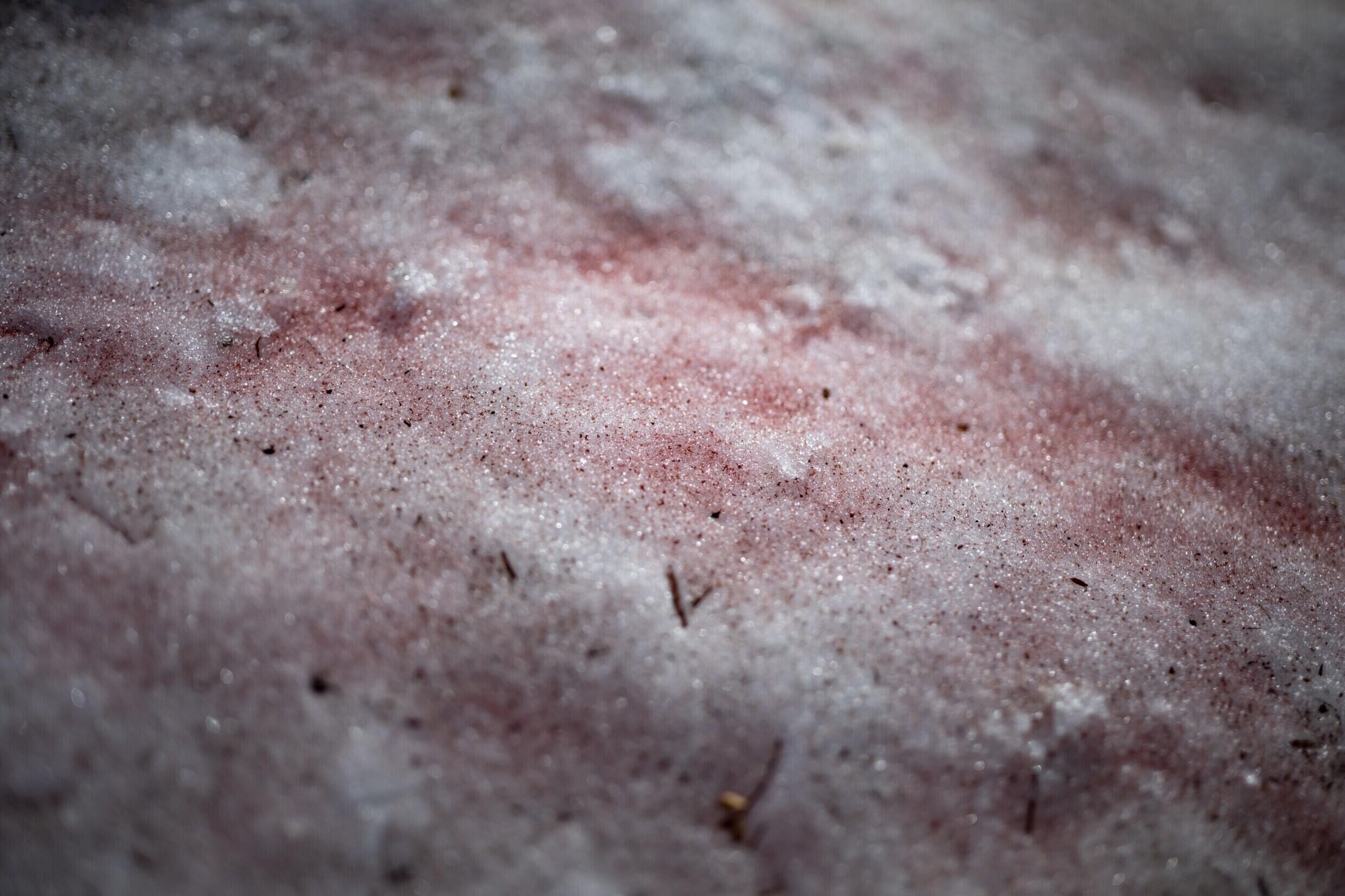 Greenland's Inuit falling through thin ice of climate change