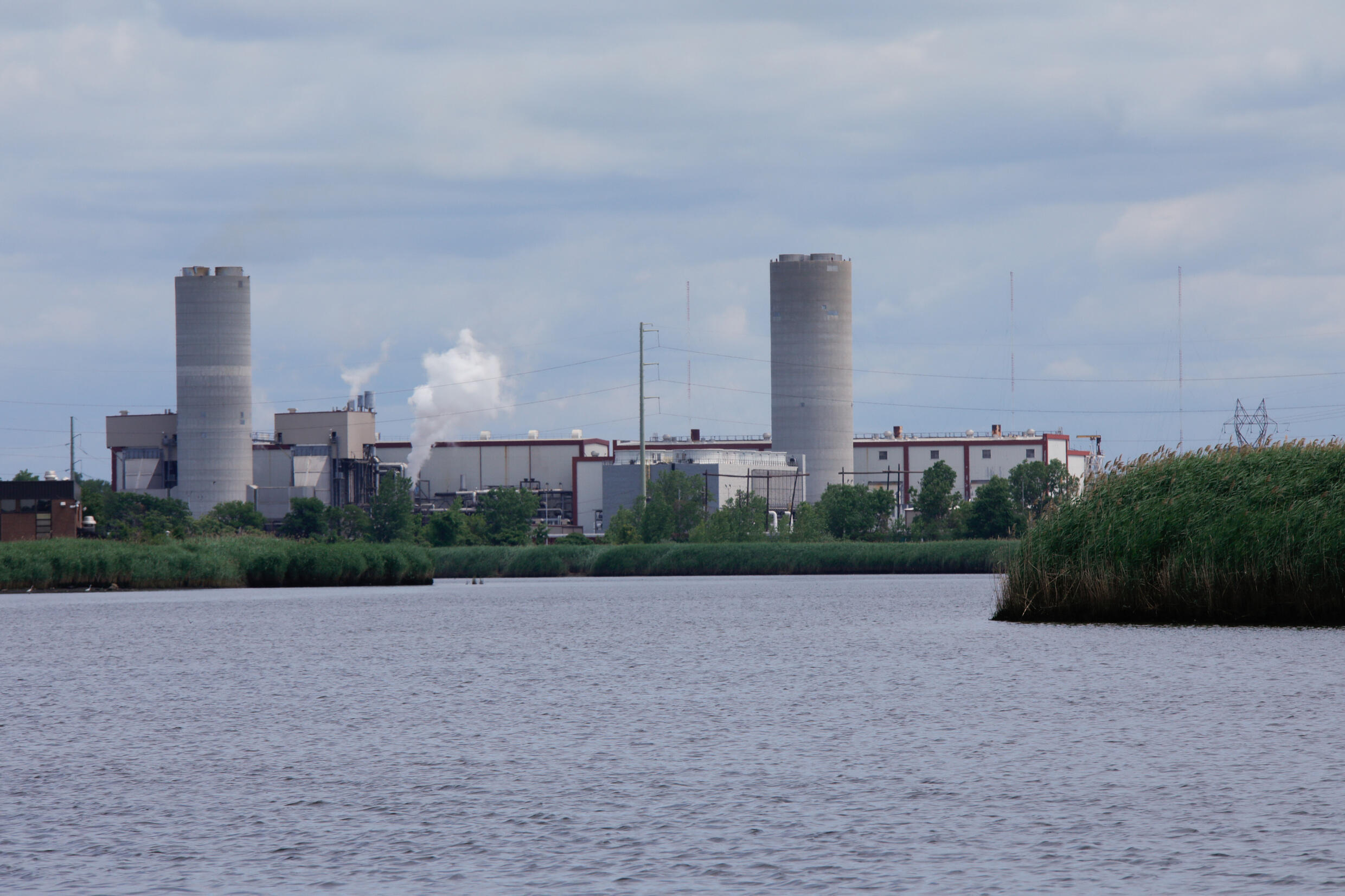 Within sight of New York City, a despoiled river comes back to life