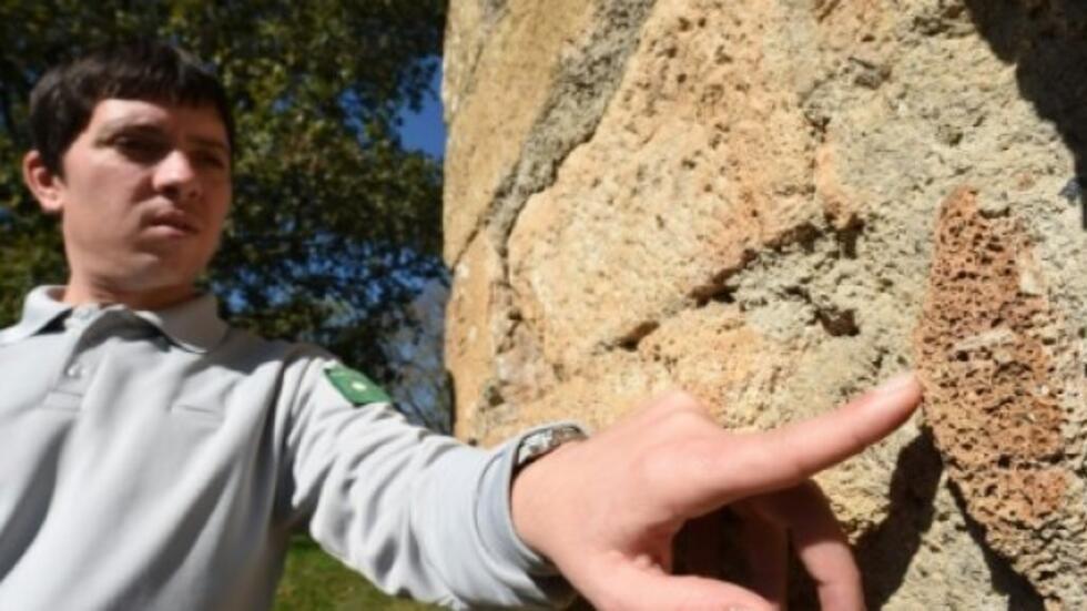 Scientists mine French 'star scar' to unlock space secrets