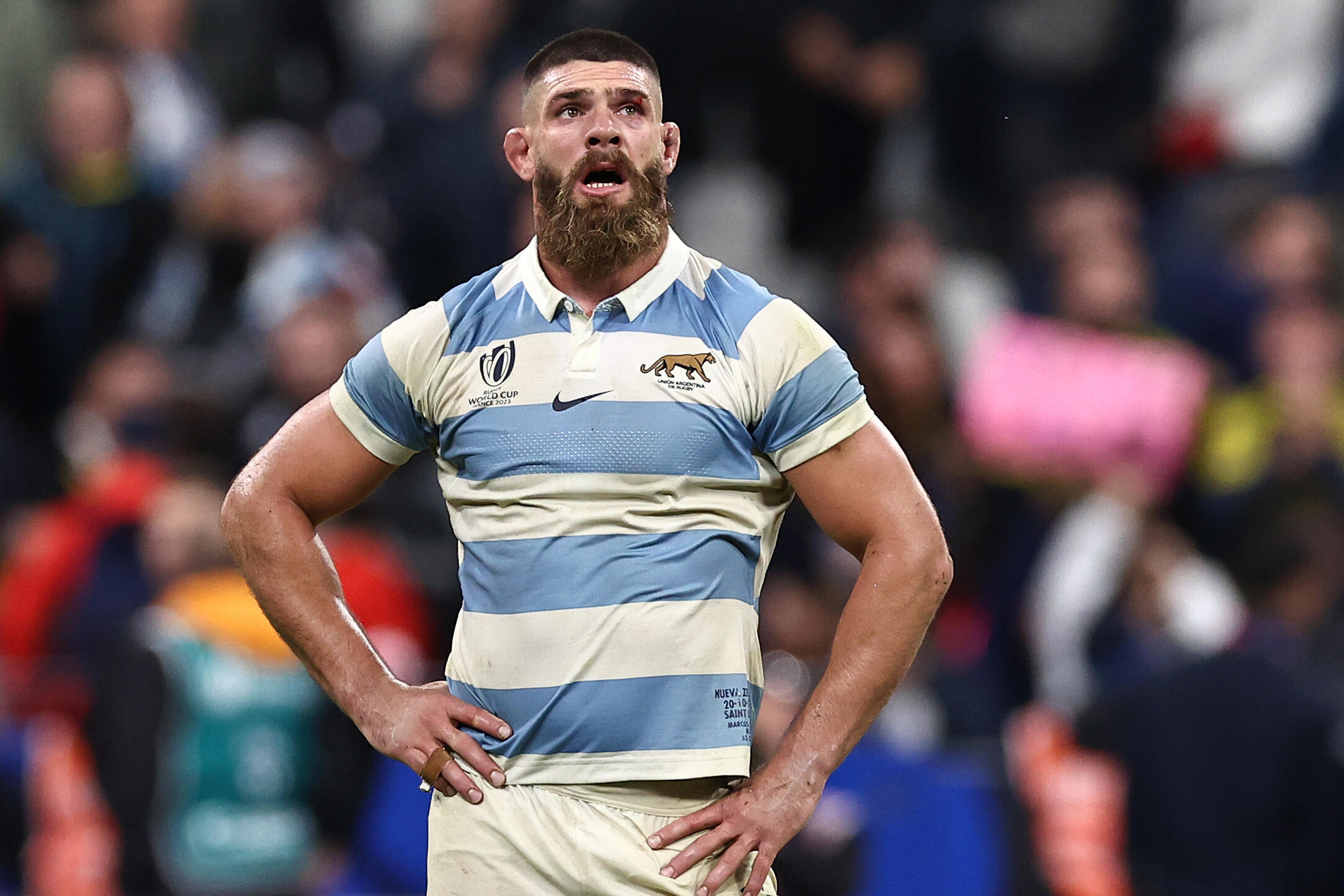 New Zealand into Rugby World Cup final after outclassing Argentina