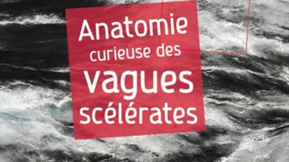 Comment surgissent les vagues scélérates ? - Autour de la question, le ...
