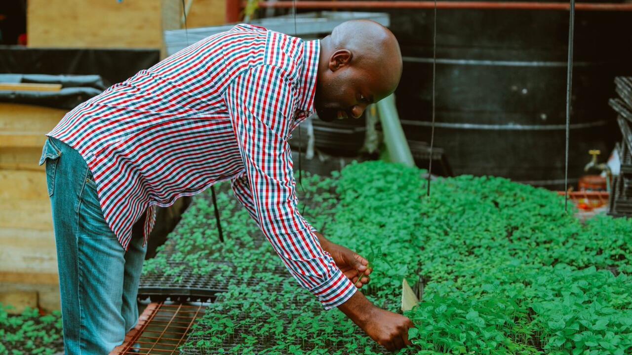 Fursa ya Kilimo Biashara - Gurudumu la Uchumi