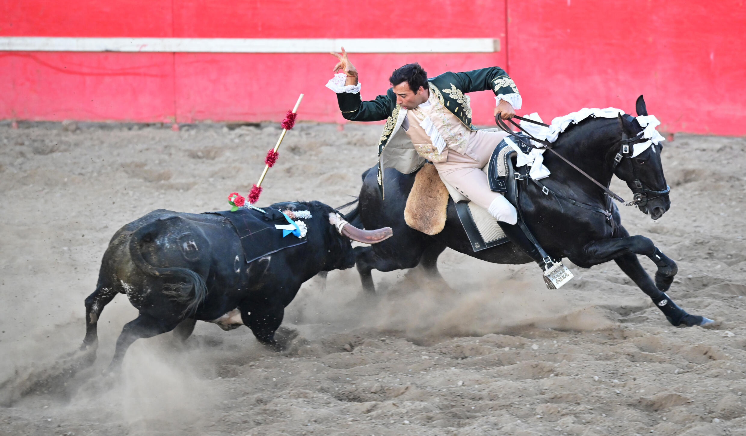Sin sangre: Lusos adaptan a California su tradicional corrida de toros