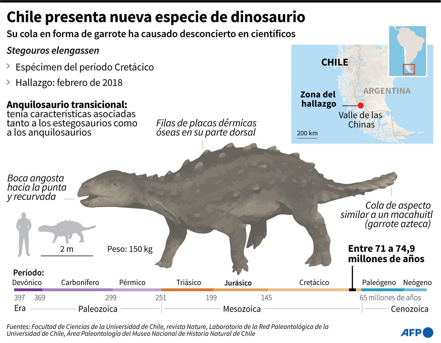 El "Stegouros", el dinosaurio descubierto en Chile con una cola que ...