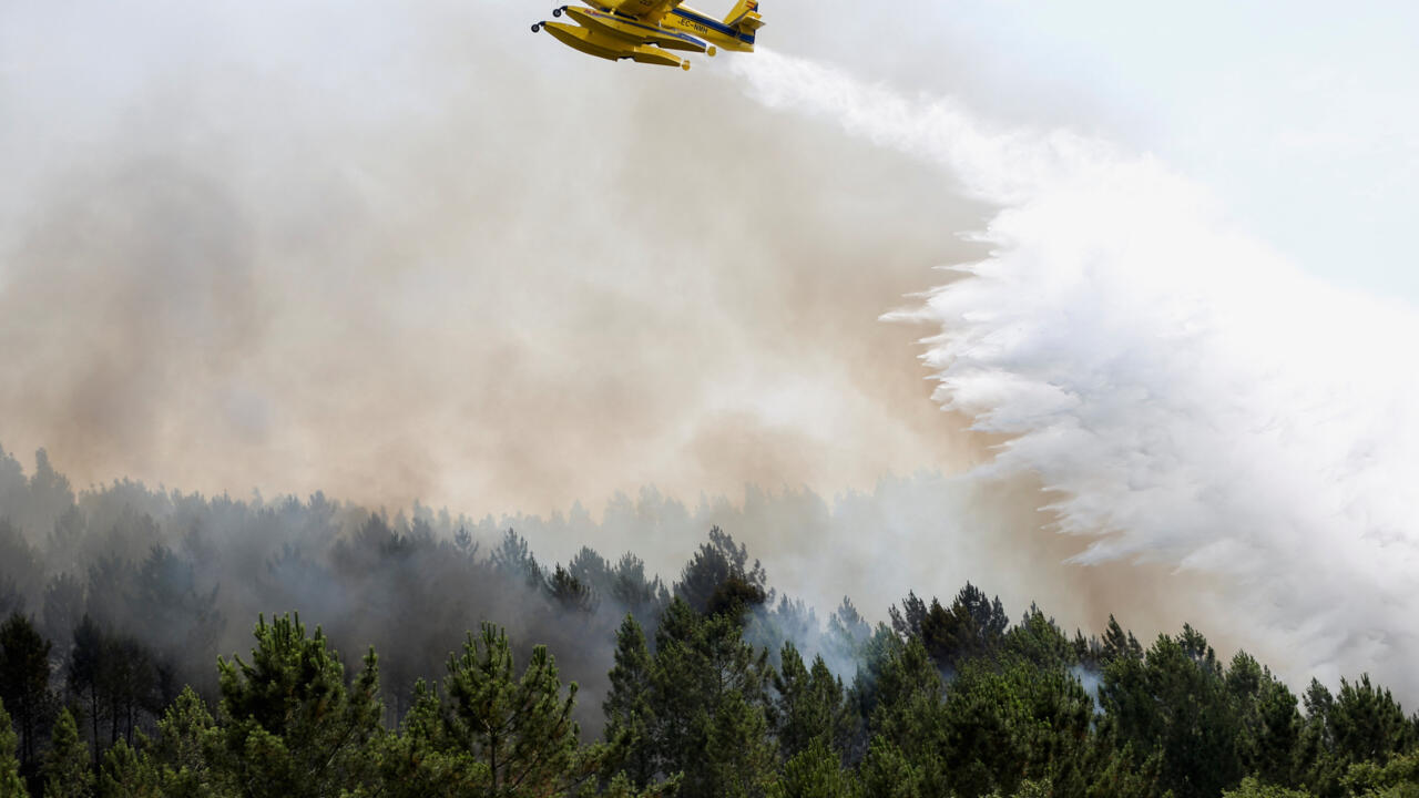 Climate change driving unprecedented forest fire loss