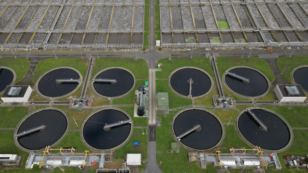 Jezz sanchez videos desnuda pics are accurate she’s