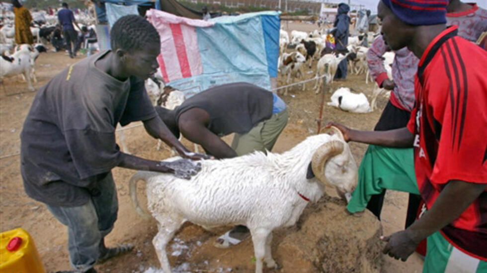 Sénégal: les voeux de la classe politique à l'occasion de la Tabaski