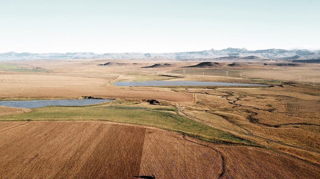 South Africa land reform: a delicate balance between history and economy