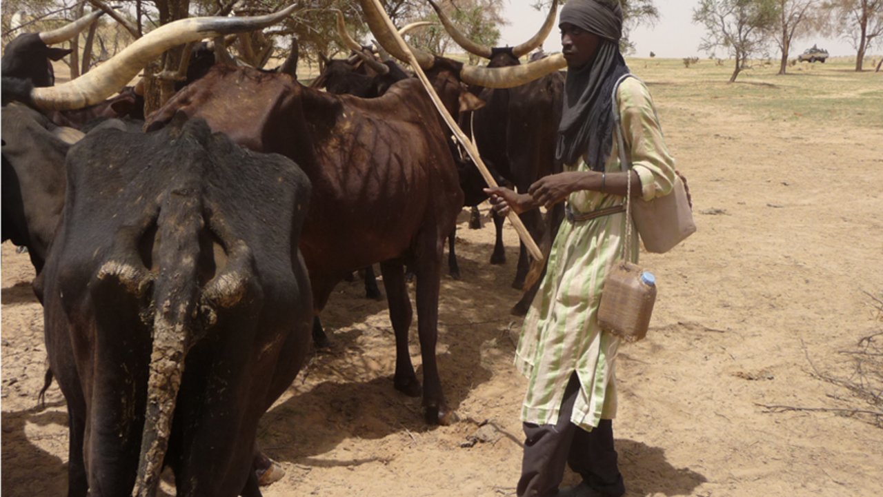 Le Niger à nouveau menacé par la famine