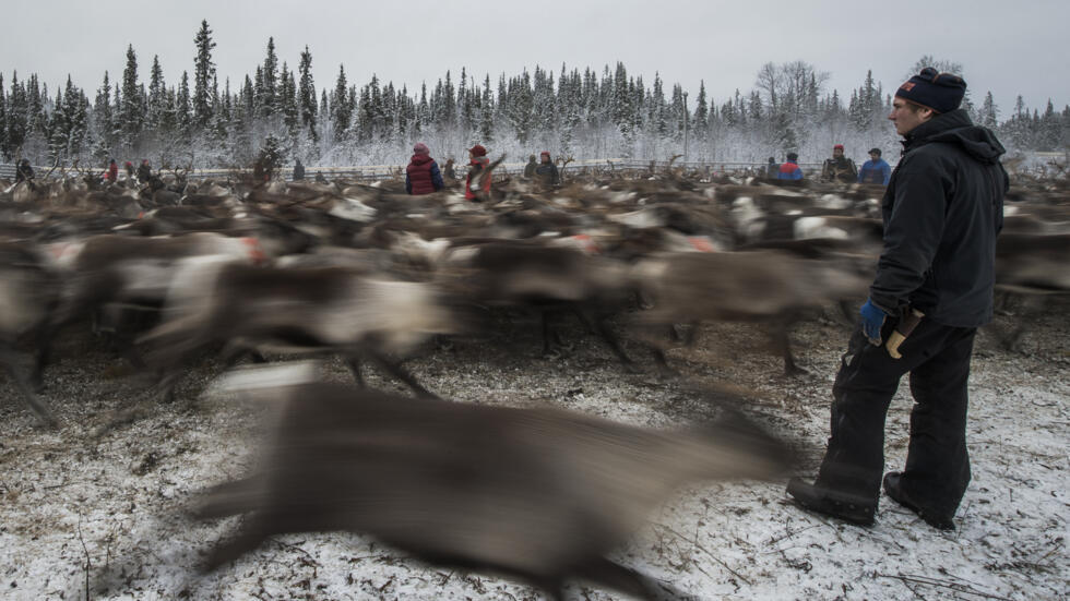 Sweden's 'Truth Commission' delves into painful Sami past