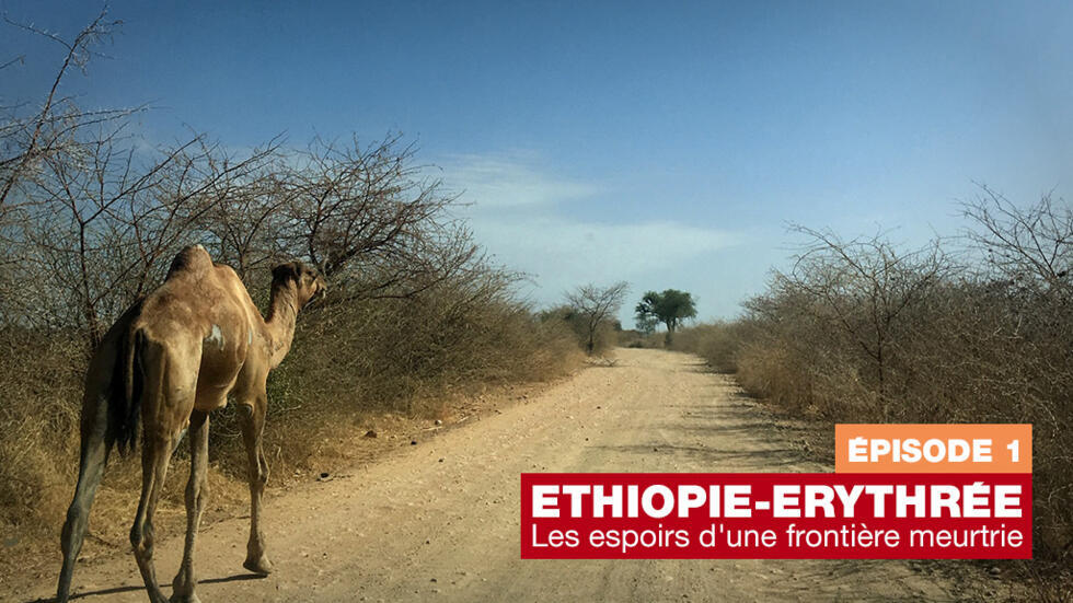 [Reportage] Ethiopie-Erythrée: ville meurtrie, Badme veut sortir de l ...