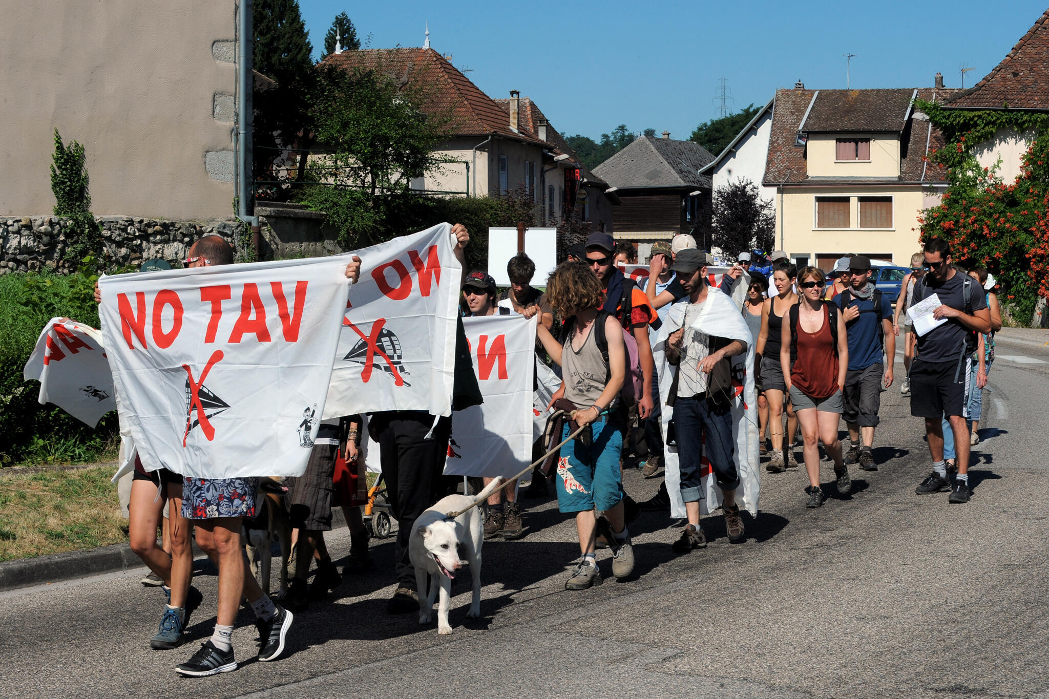 Ligne ferroviaire Lyon-Turin: trente ans de mobilisation politique et ...