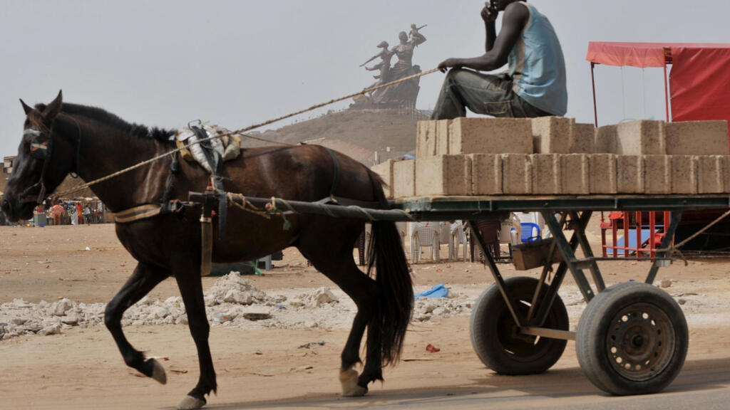 Tampere e lette faweteeɗe e ɗii pucci adoojo dolle e nder Dakar - RFI