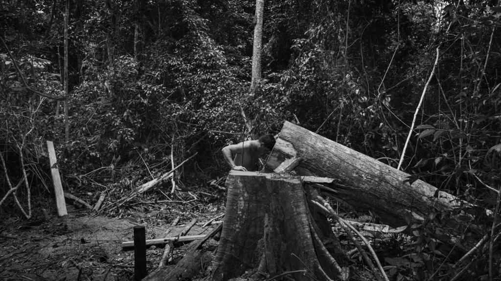Gwamnatin Najeriya ta kammala aikin horas da jami'an tsaron gandun daji ...