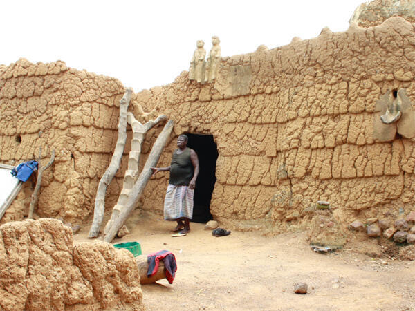 Les Lobis : entre tradition et modernité - Le coq chante