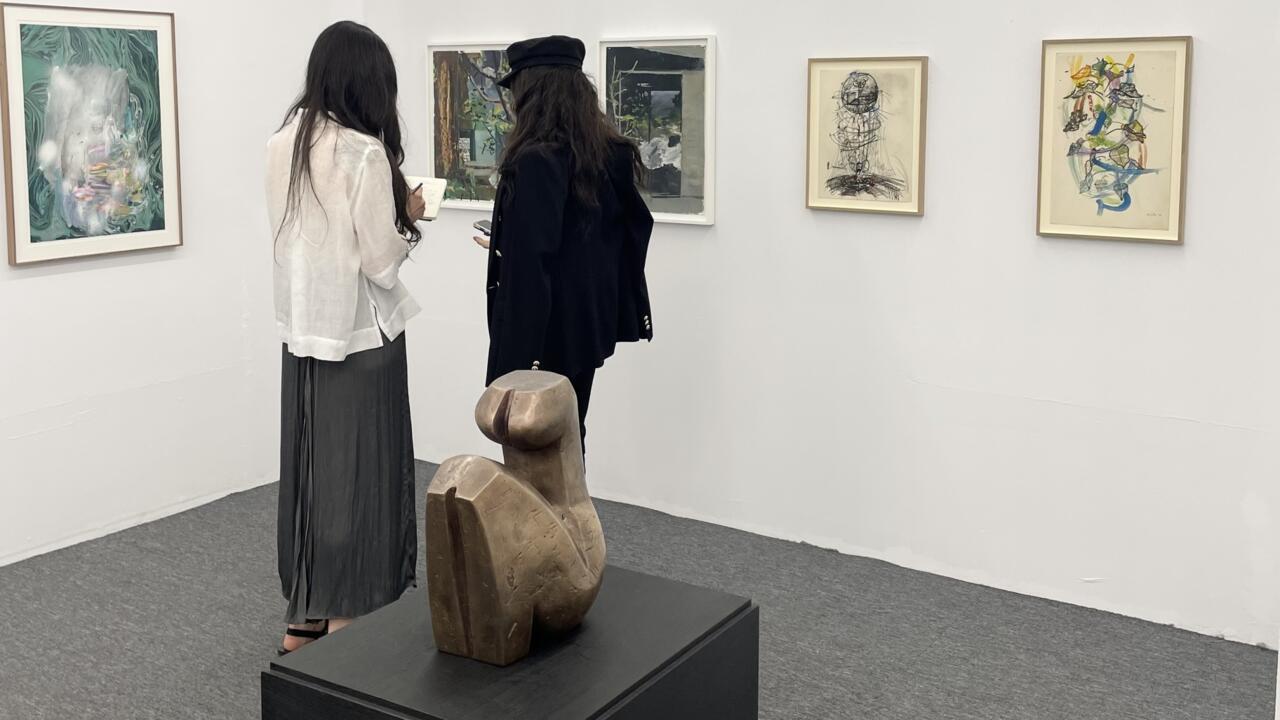 Turul galeriilor de la RAD / 1 - Zebra