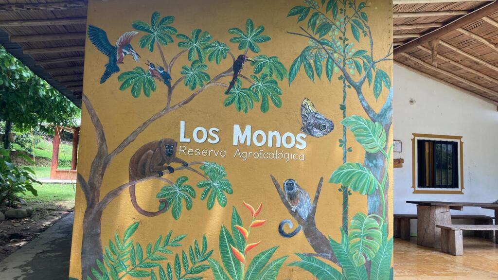 Agir pour le vivant en Colombie : 4ème édition - C'est pas du vent - RFI