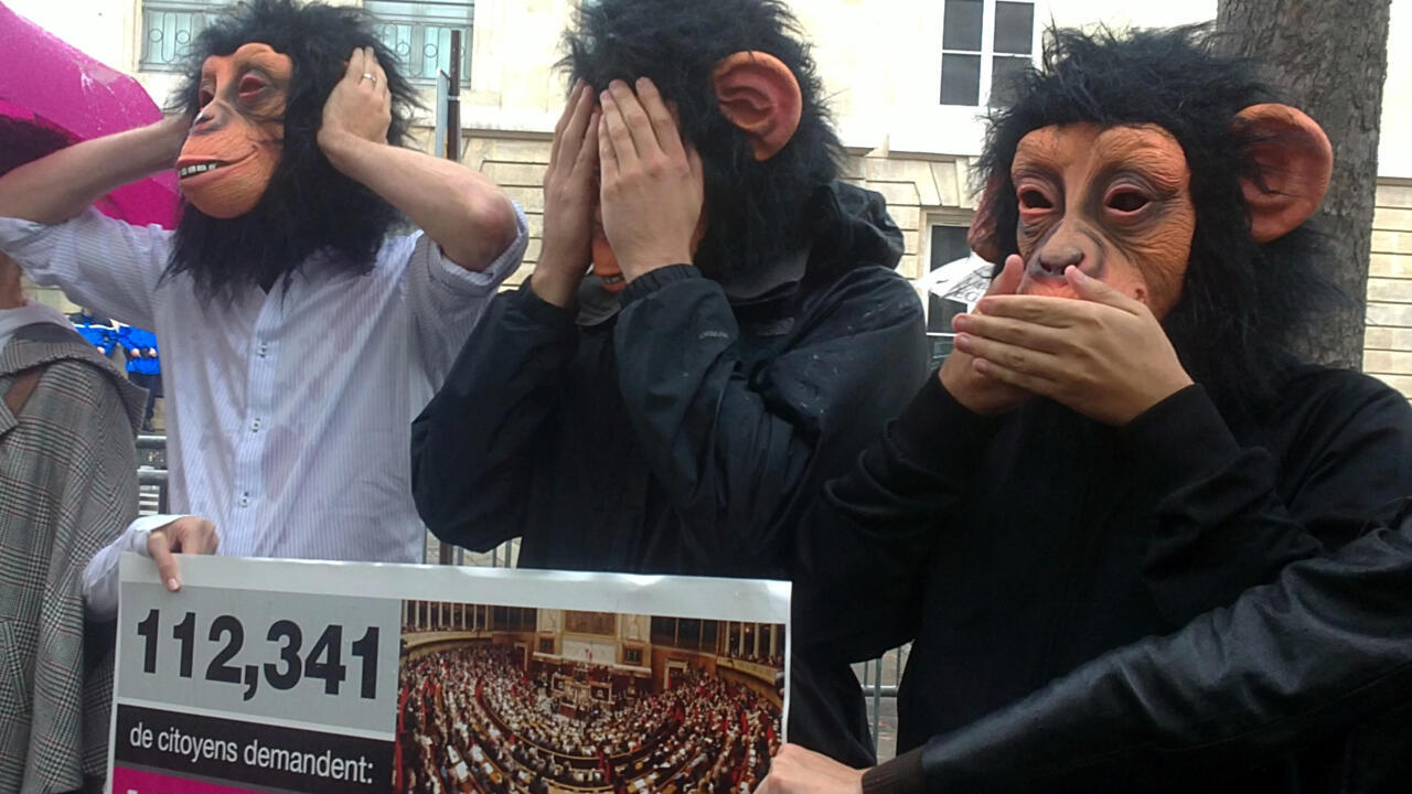 Let's debate MP expenses - On-the-spot France