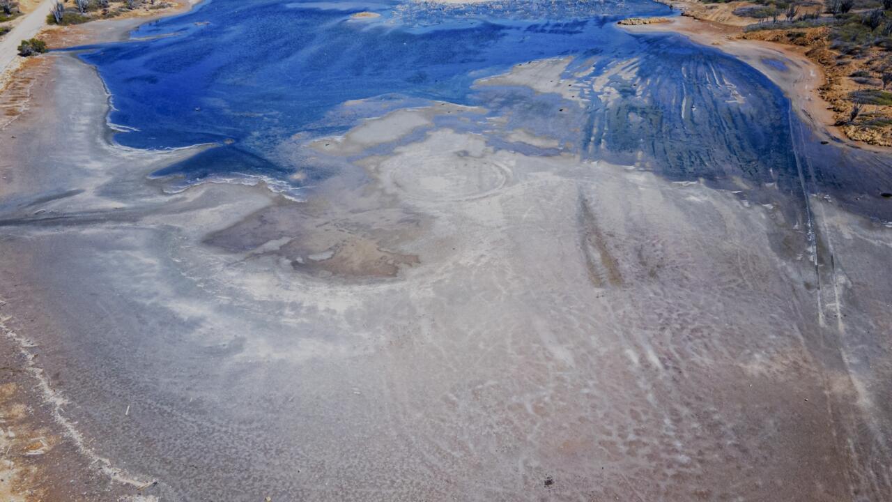 La justicia ordena a Países Bajos a proteger a la isla de Bonaire ...