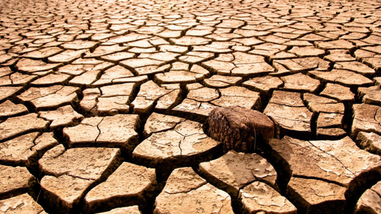 Angola: Província do Cunene devastada pela seca