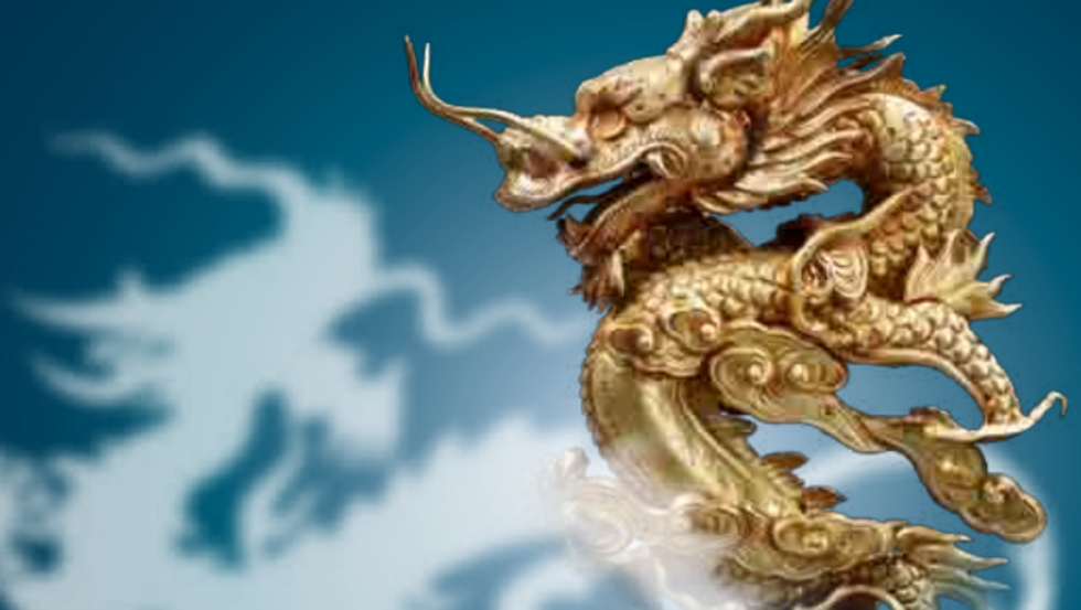 A chance to catch fleeting Vietnamese dragons
