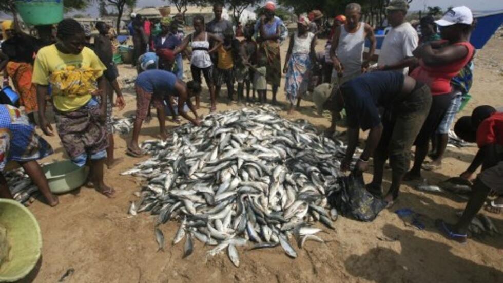 Benguela ao ritmo da economia da pesca - Convidado