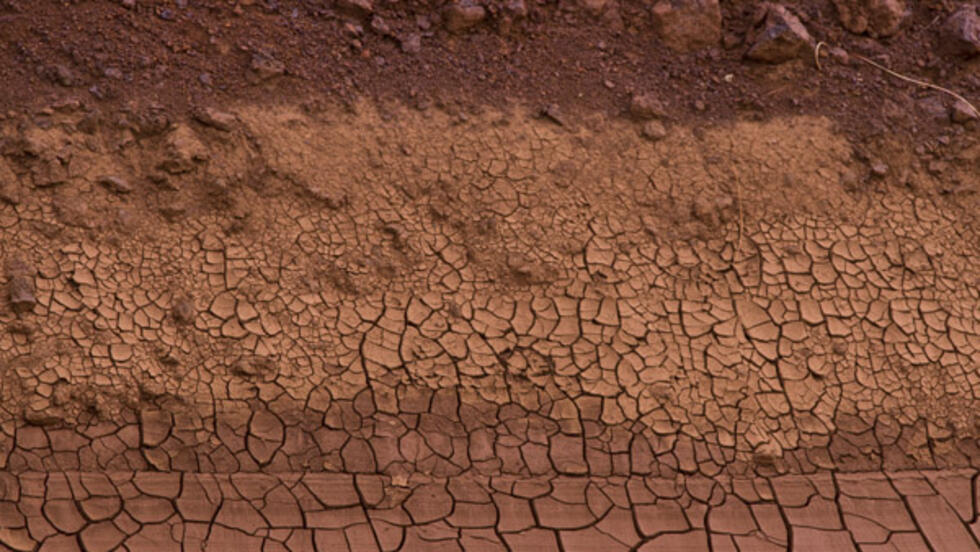 2 - Les sols de la planète pourront-ils nourrir 9 milliards d’humains ...