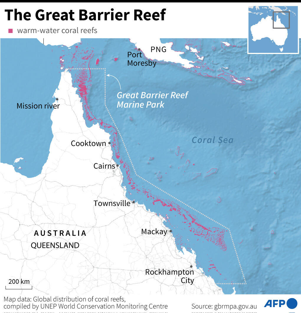 Parts of Great Barrier Reef suffer highest coral mortality on record