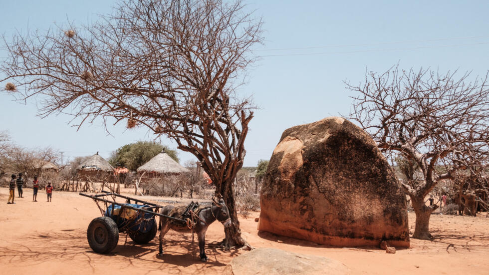Ripoti: Milioni thelathini na tatu wakabiliwa na uhaba wa chakula ...