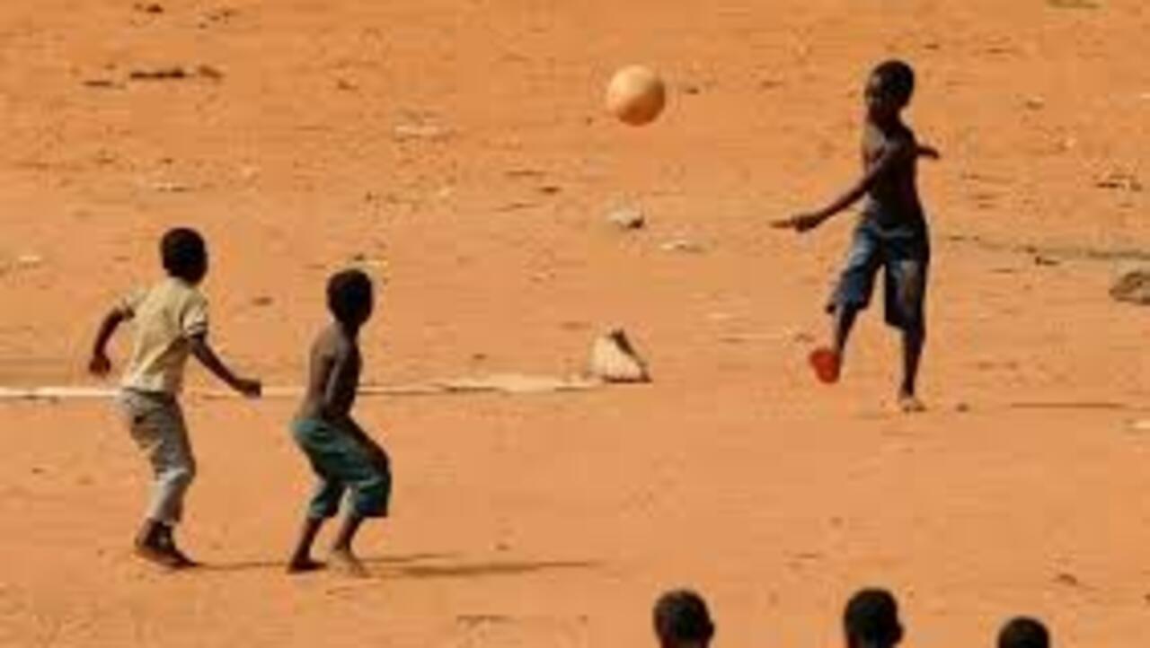 FAO está preocupada com a seca em Angola