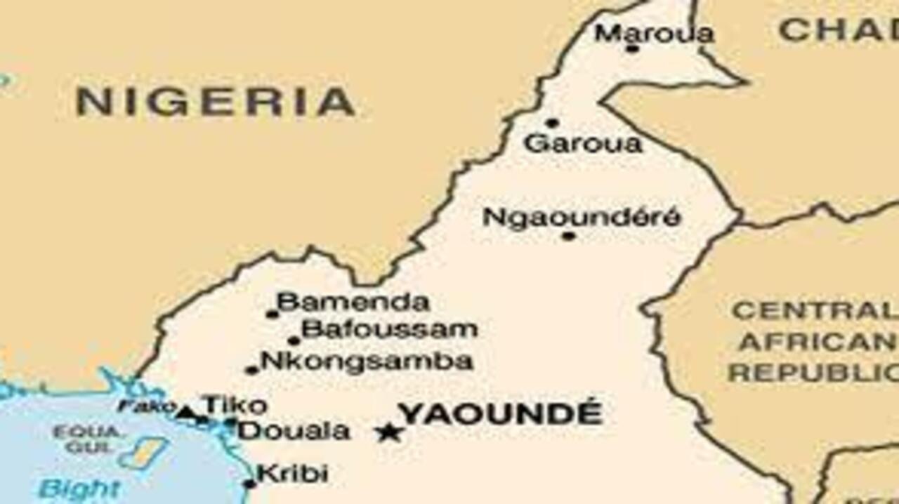 Ƴan aware sun kashe fararen hula 14 a harin da suka kai arewacin Kamaru ...