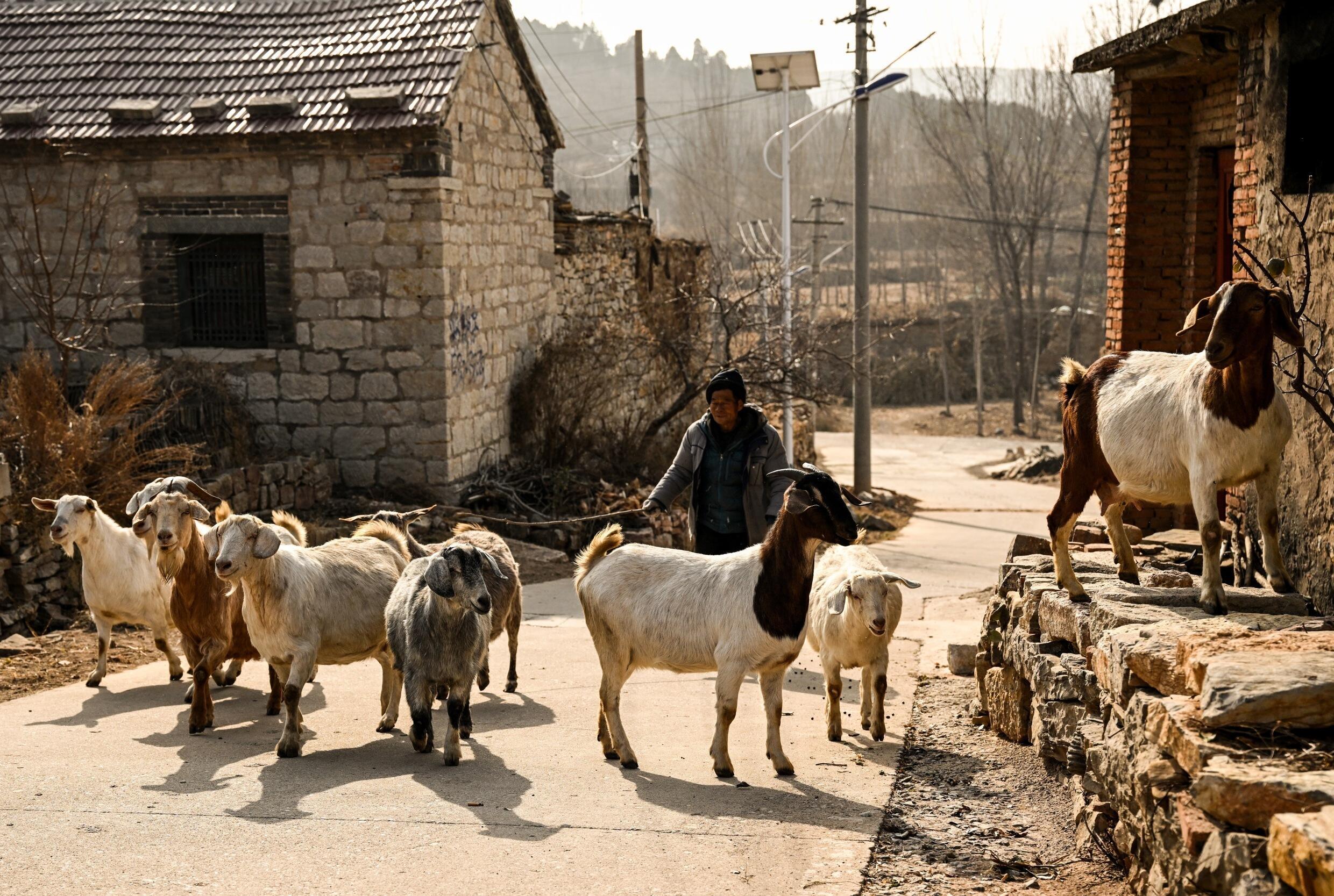 'Total mess' in China's rural east as Covid wave hits hard