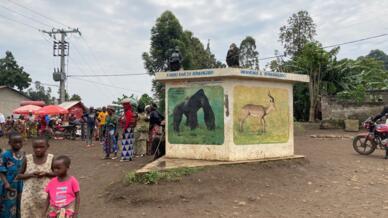 RDC: l'offensive du M23 paraît prendre de l'ampleur au Nord-Kivu