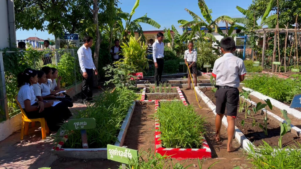 សួនបន្លែក្នុងសាលារៀនបណ្តុះផ្នត់គំនិតឲ្យក្មេងៗចេះធ្វើកសិកម្មពីវ័យក្មេង - បទយកការណ៍