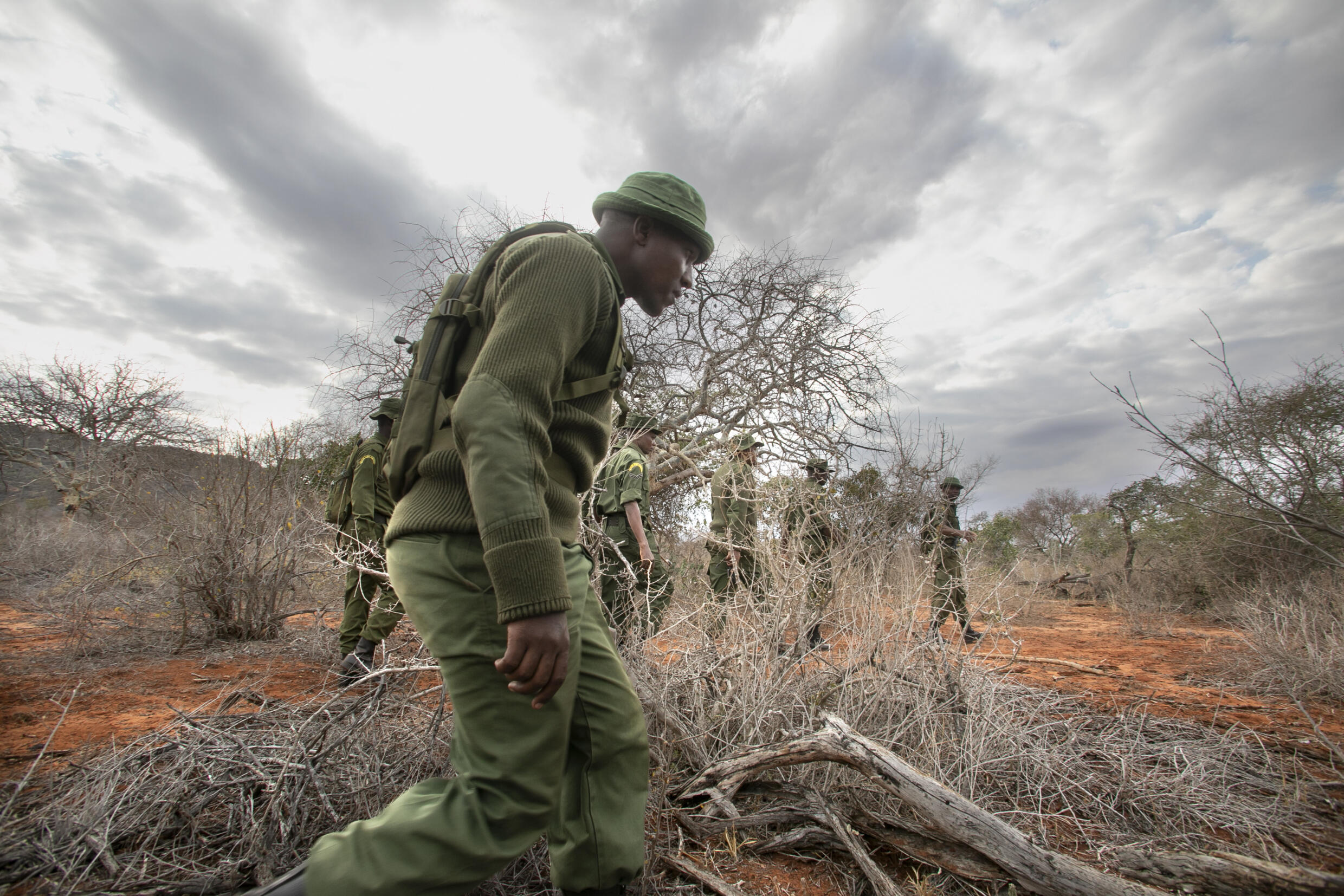 Kenya bets on carbon credits as it hosts climate summit