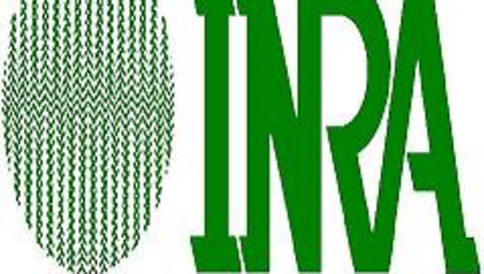 Le microbiote intestinal : notre nouvel organe - Chronique sciences