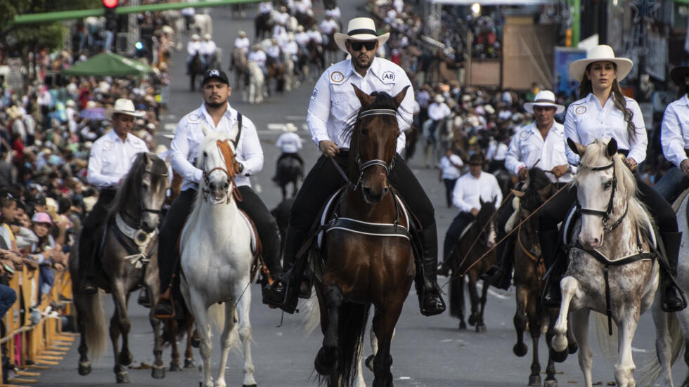 Costa Rica muestra con orgullo sus caballos en multitudinario desfile