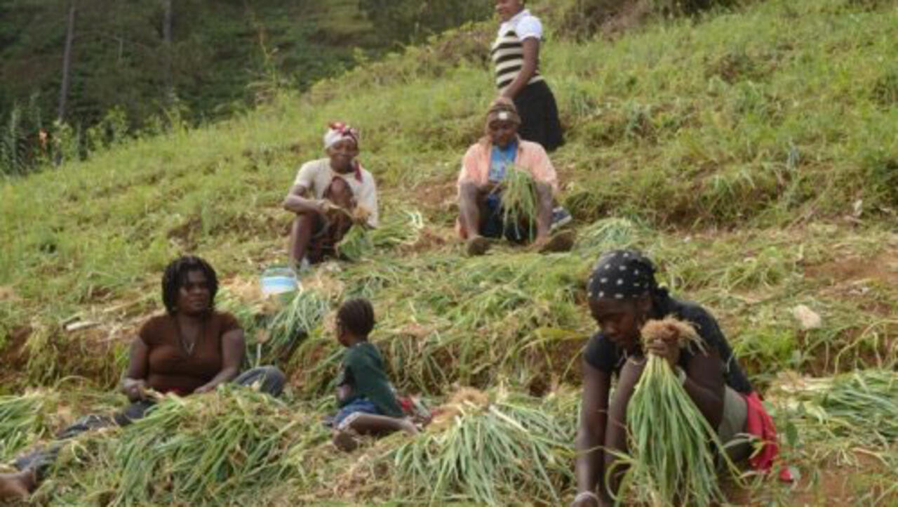 Haïti: la vie des jeunes en zone rurale