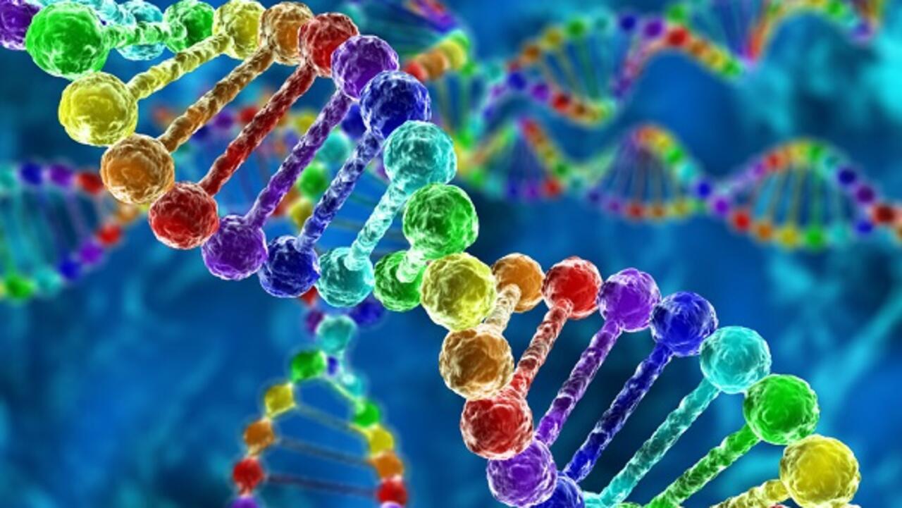 El cáncer y los ARNs largos no codificantes - Salud y bienestar