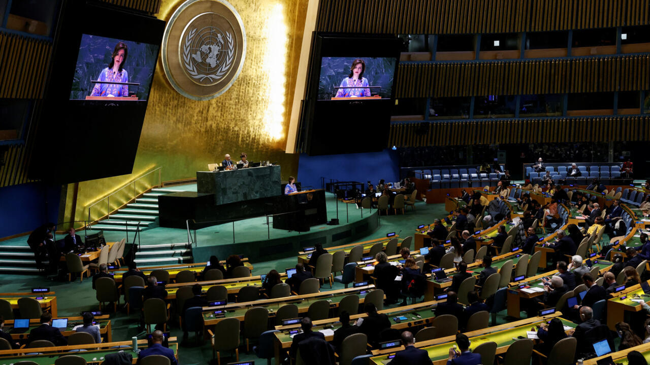 Assemblée générale de l’ONU: «Le Conseil, tel qu'il est, ne peut plus ...
