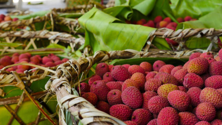 Madagascar: histoire du litchi gasy (série 3/3) - Reportage Afrique